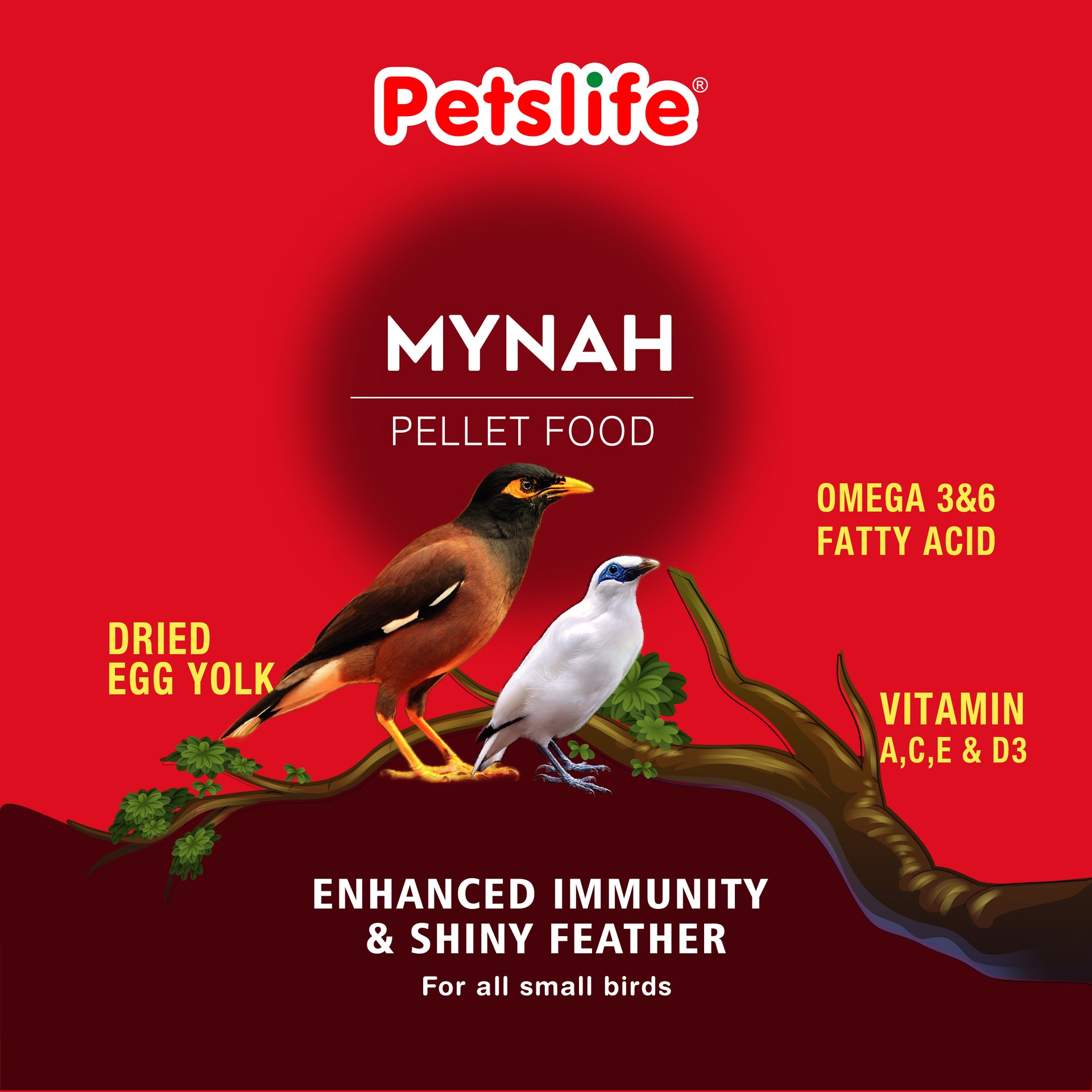 BIRD FOOD – PetsNPets Store